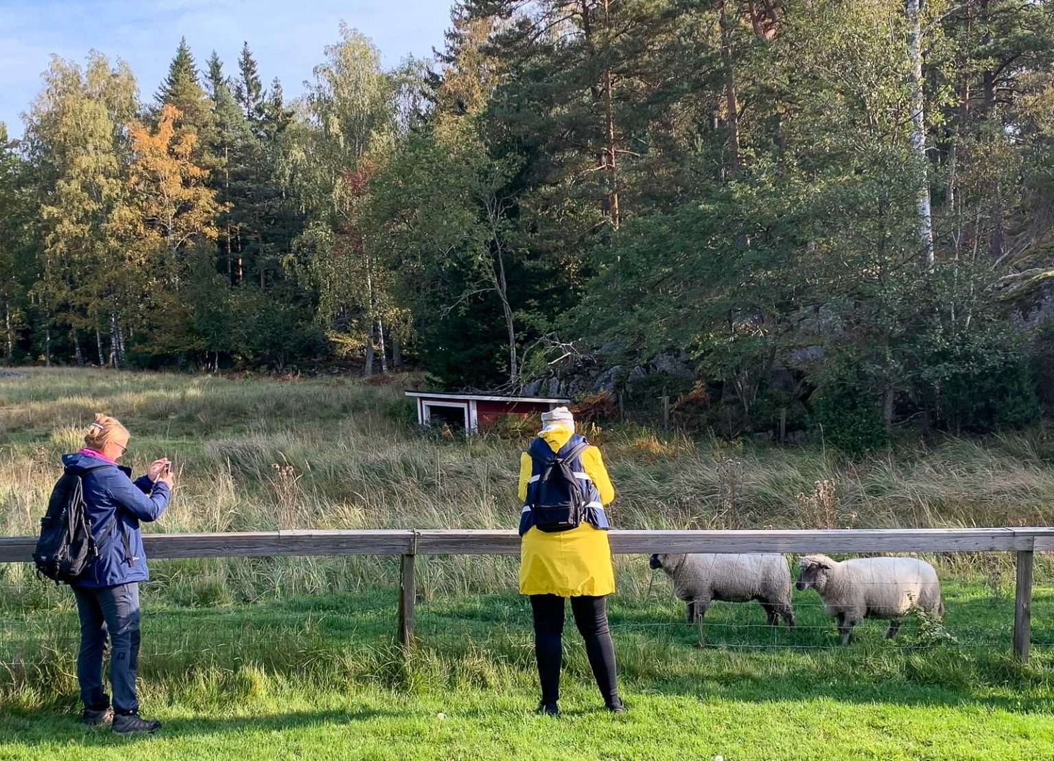 Tammisaaren saariston kansallispuisto - Meriharakka.net